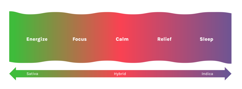 Indica vs Sativa: Know Your Cannabis | Leafy Mate