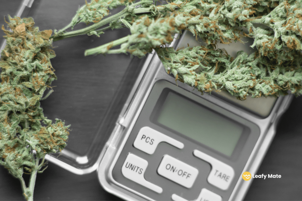 How Many Grams Are In An Ounce Of Weed? | Leafy Mate