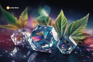 Uncover the Dazzling World of THC A Diamonds - Experience the Ultimate ...