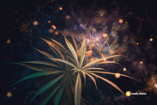 The Secret Origins of 420: Unraveling the Mysteries of Cannabis Culture ...