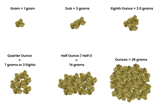 What does a gram of weed look like - Cannabis Visual Guide | Leafy Mate