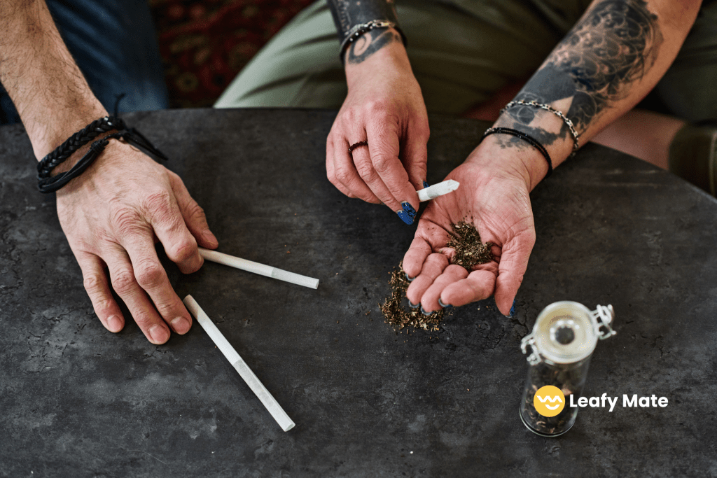 Leafy Mate Resources | Your One Stop for Cannabis Knowledge