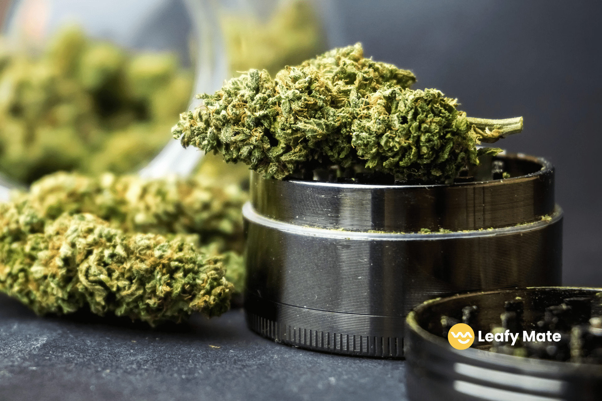 Find Local Cannabis Dispensaries Near You | Leafy Mate